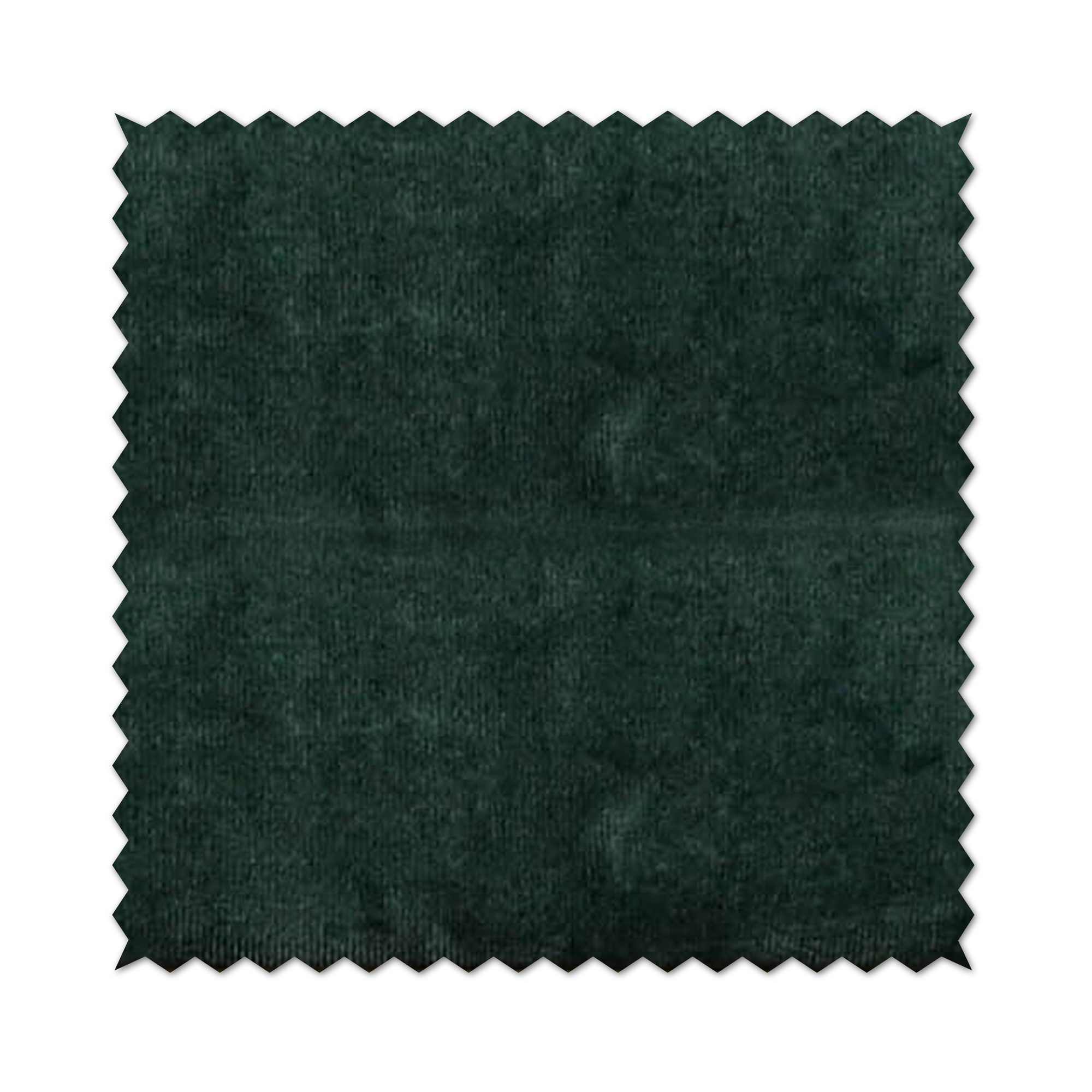 Dark Green - Coco Collection