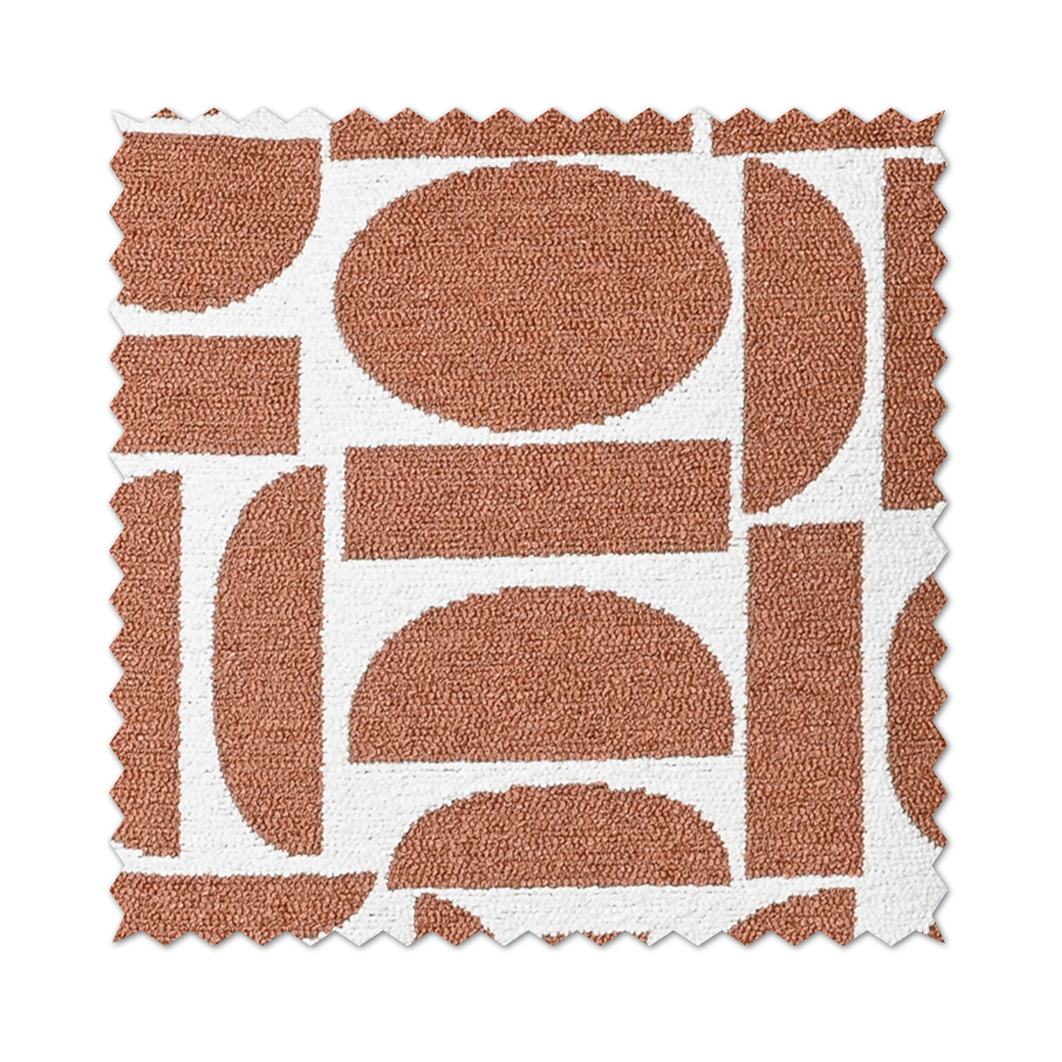 Coral Pop - Darcy & Duke